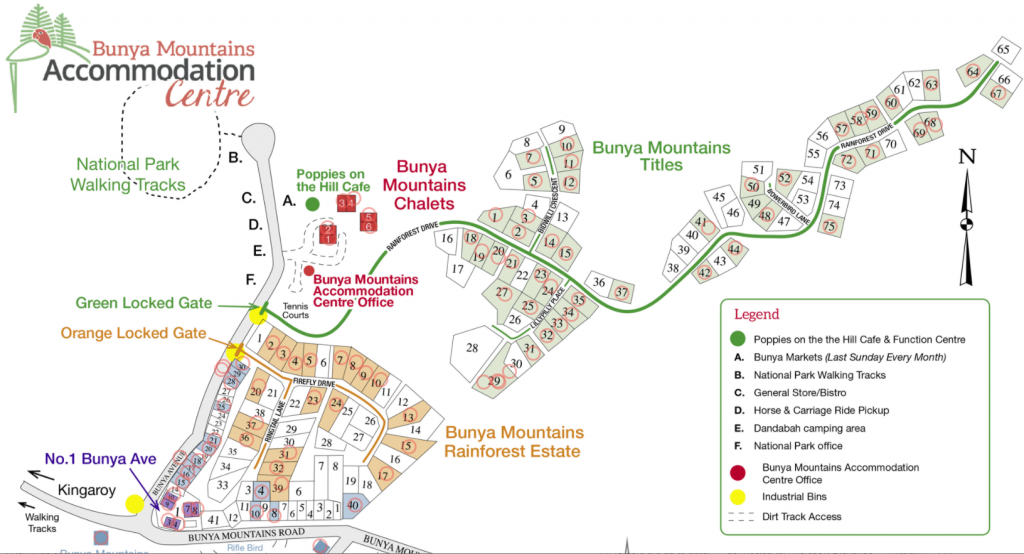 SEQ Adventures: Covering All The Bunya Mountain Trails (Bushwalking ...