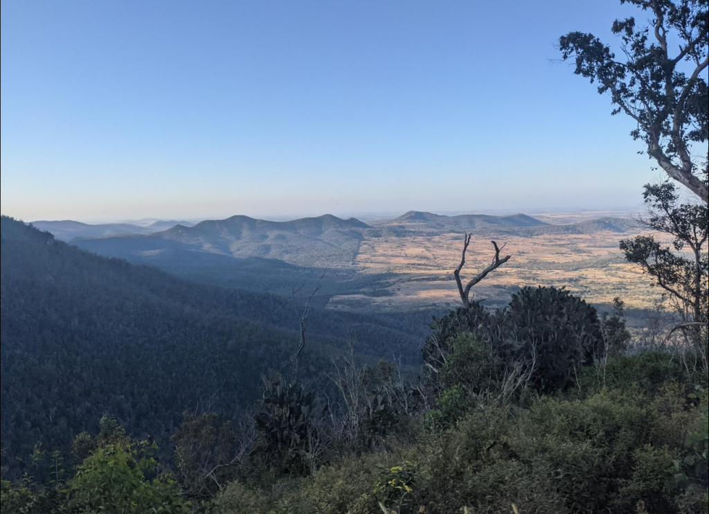 SEQ Adventures: Covering All The Bunya Mountain Trails (Bushwalking ...