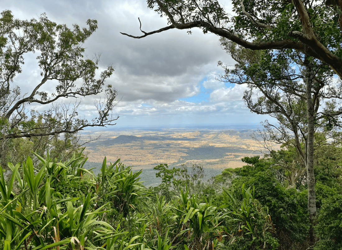 SEQ Adventures: Covering All The Bunya Mountain Trails (Bushwalking ...