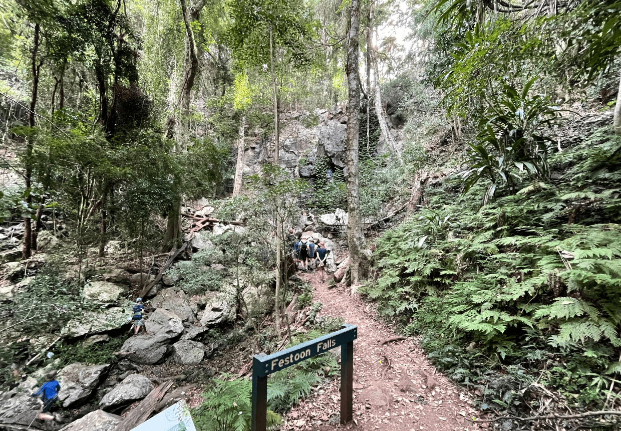 SEQ Adventures: Covering All The Bunya Mountain Trails (Bushwalking ...